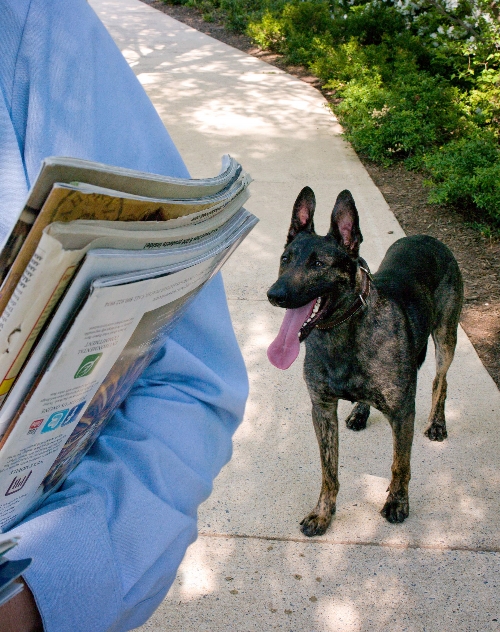 USPS Promotes Dog Bite Prevention Week - Postal Posts